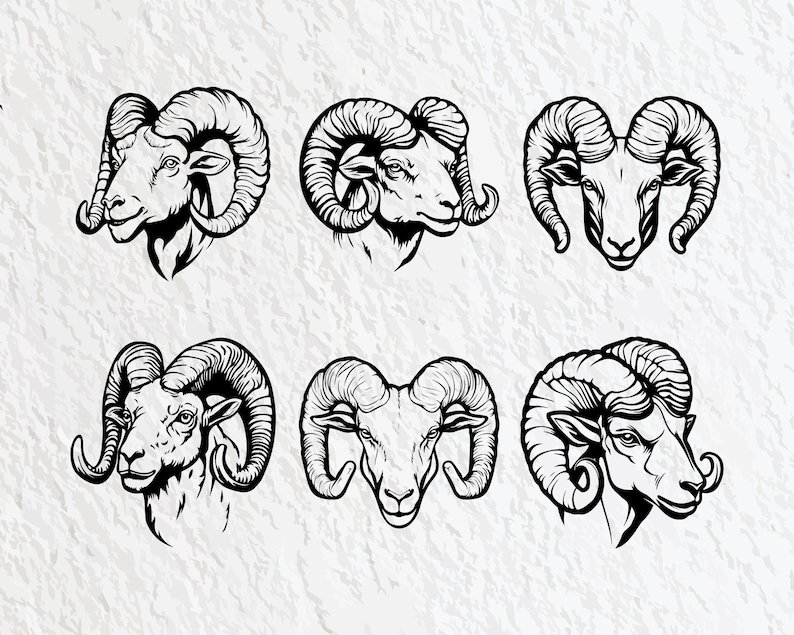 Ram Head SVG Bundle: Silhouette Clipart, Logo Icon Decal (digital ...