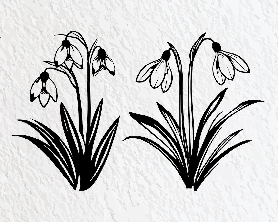 Snowdrop Flower SVG Bundle: Silhouette, Clipart, Vector (digital ...