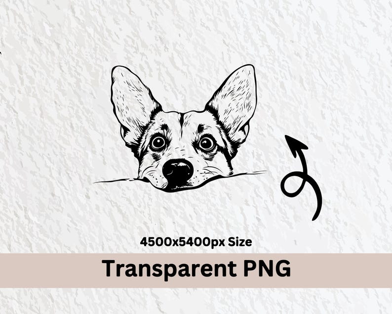 Basenji SVG Bundle: Dog Silhouette Clipart (PNG, Vector) - Etsy