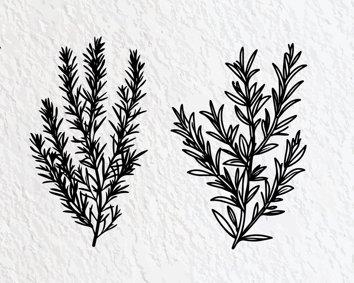 Rosemary SVG Bundle: Logo Icon Vector Clipart (PNG, Cricut, Decal) - Etsy