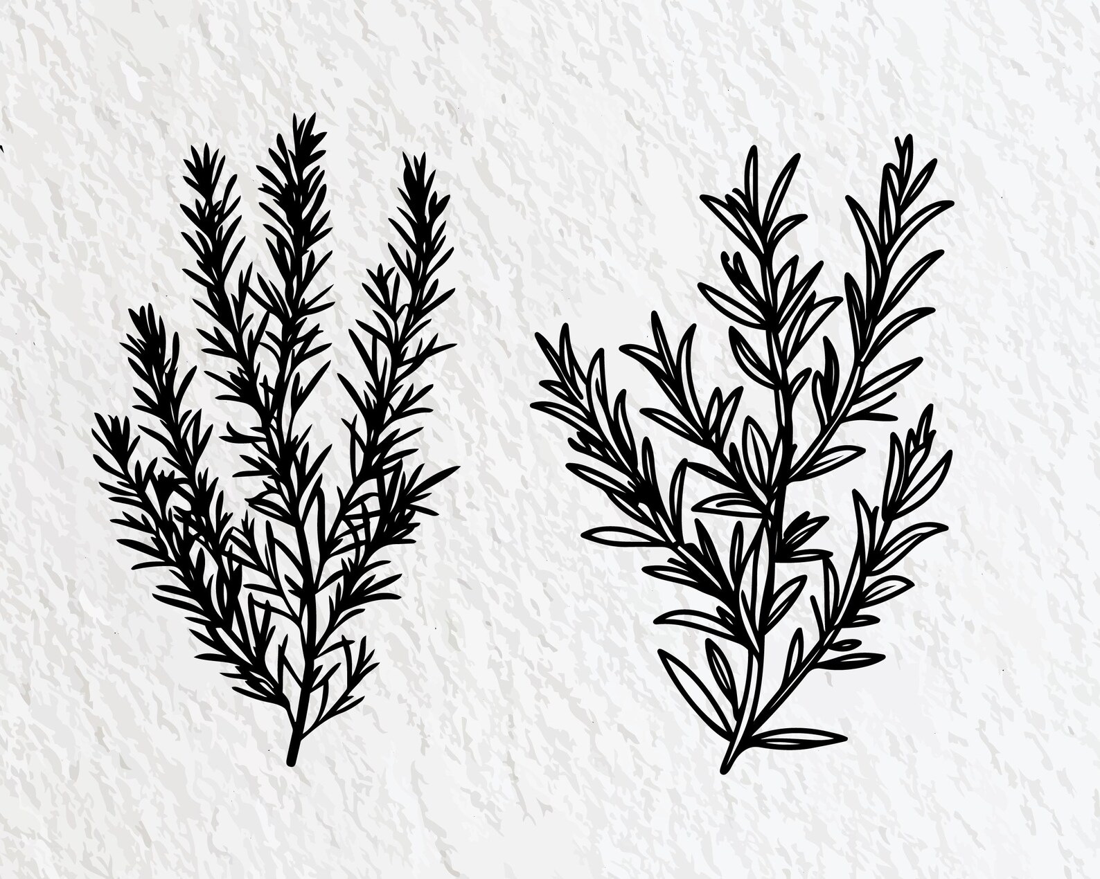 Rosemary SVG Bundle: Logo Icon Vector Clipart (PNG, Cricut, Decal) - Etsy