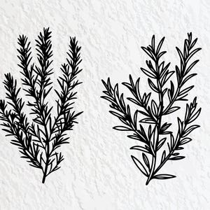 Rosemary SVG Bundle: Logo Icon Vector Clipart (PNG, Cricut, Decal) - Etsy