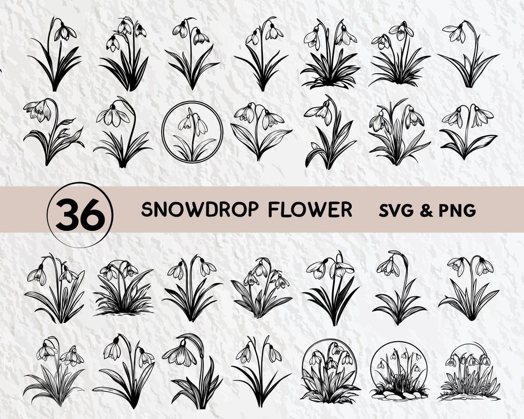 Snowdrop Flower SVG Bundle: Silhouette, Clipart, Vector (digital ...
