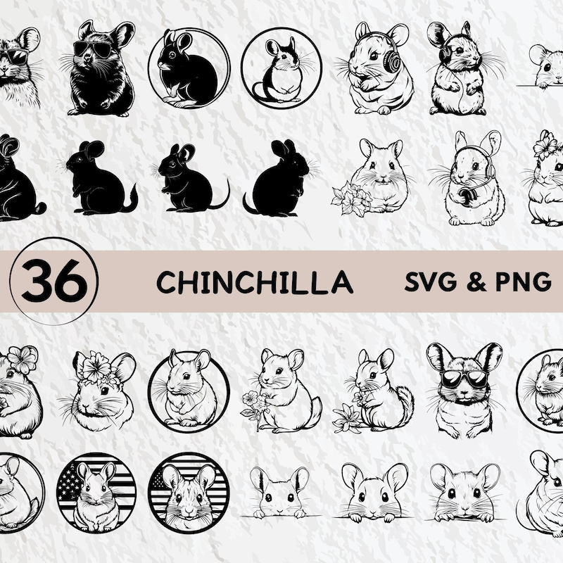 Chinchilla - Etsy