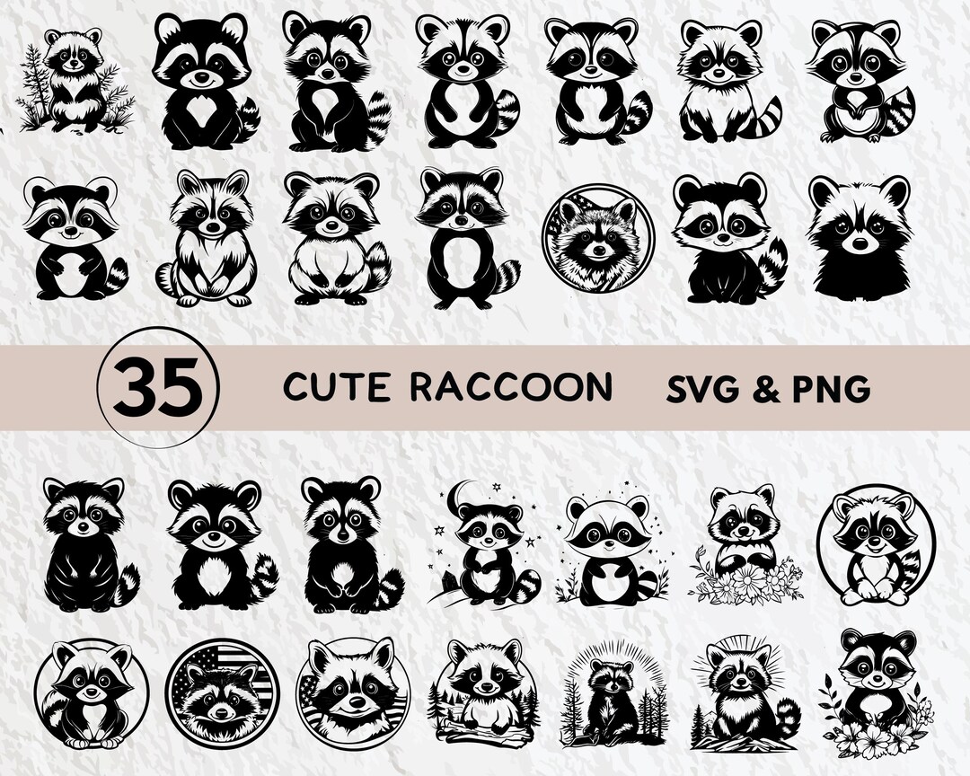 Cute Raccoon Svg Bundle, Cute Raccoon Silhouette, Cute Raccoon Clipart ...