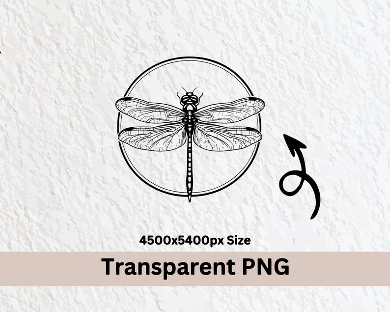 Dragonfly Svg Bundle, Dragonfly Silhouette, Dragonfly Clipart Png ...