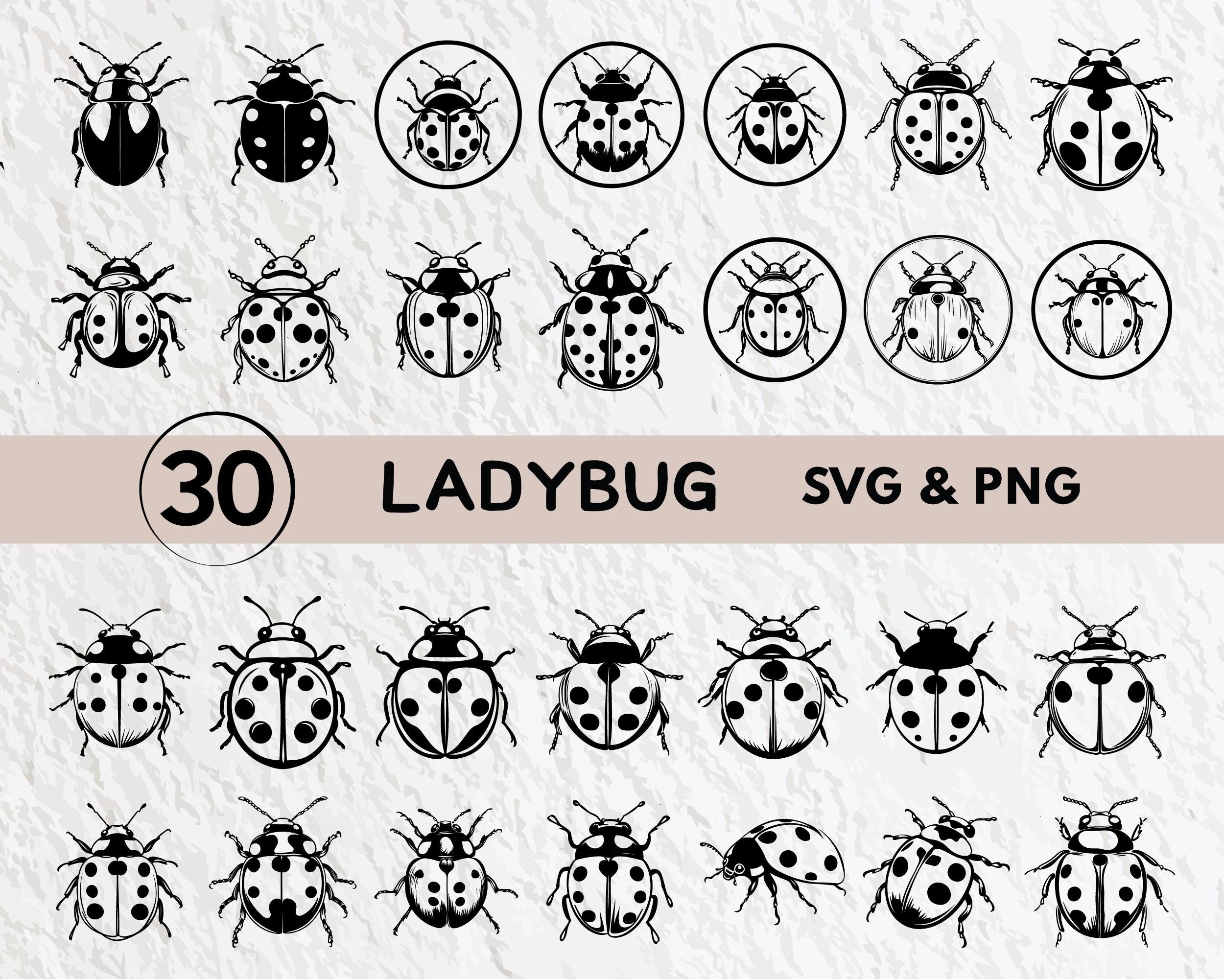 Ladybug SVG Bundle: Silhouette, Clipart, Vector (cricut Cut Files) - Etsy