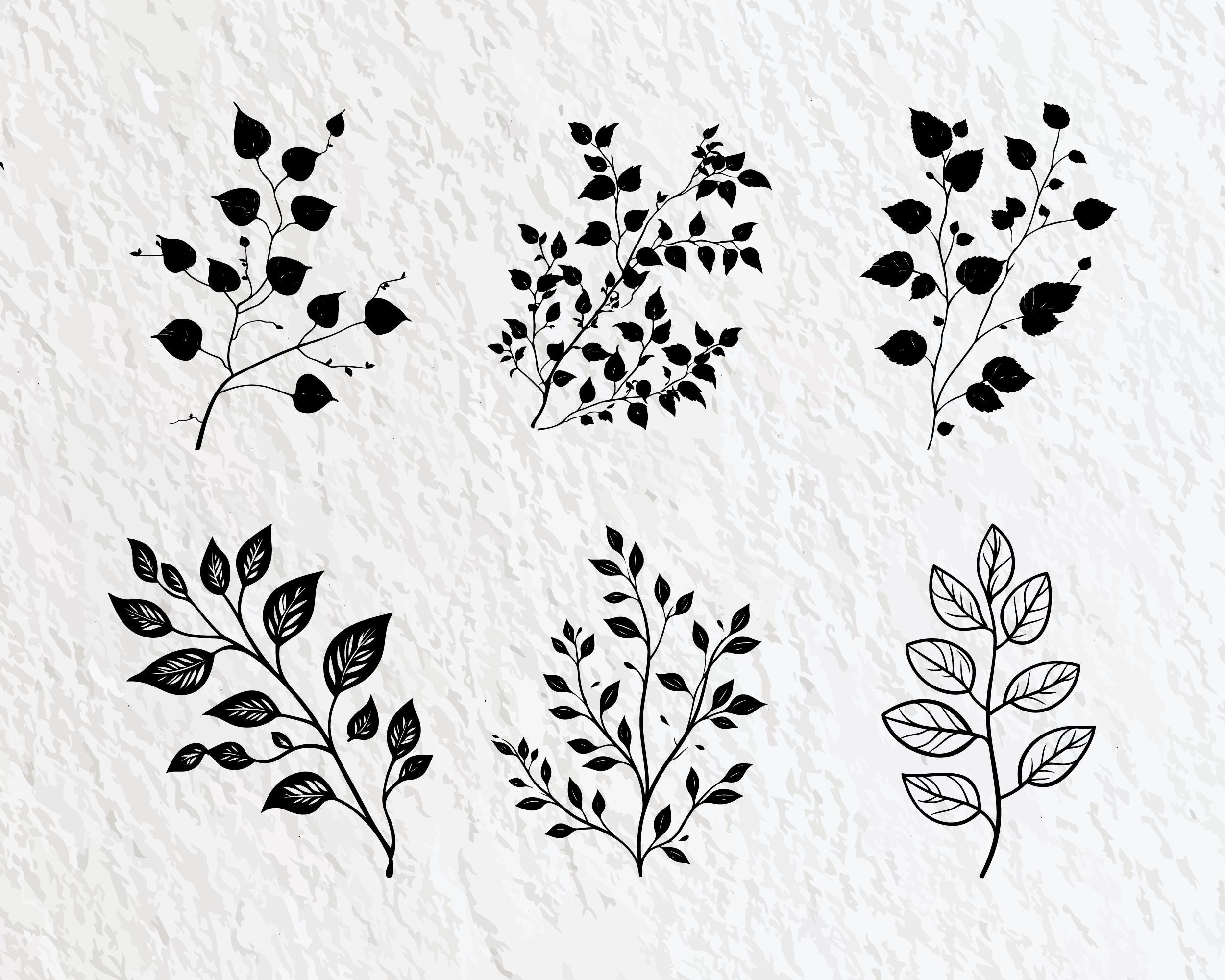 Botanical Leaves & Twigs SVG Bundle: Vector Cut Files (PNG, SVG) - Etsy