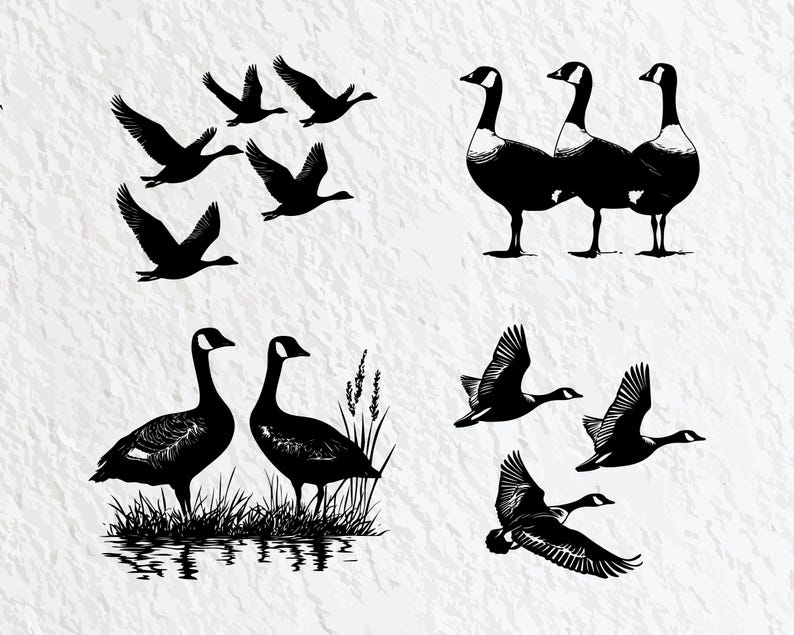 Canadian Goose Svg Bundle, Wild Canadian Goose Silhouette, Flying ...
