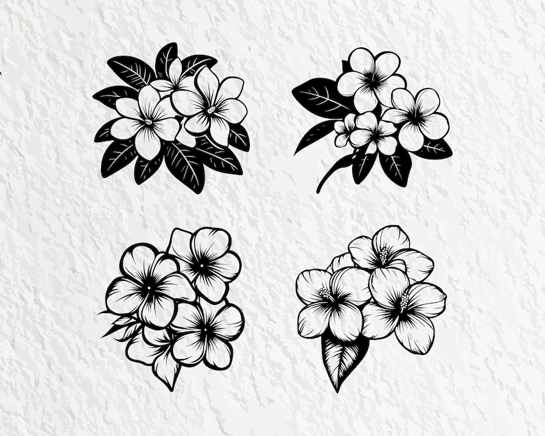 Plumeria SVG Bundle: Floral Silhouette Clipart (PNG, Vector) - Etsy
