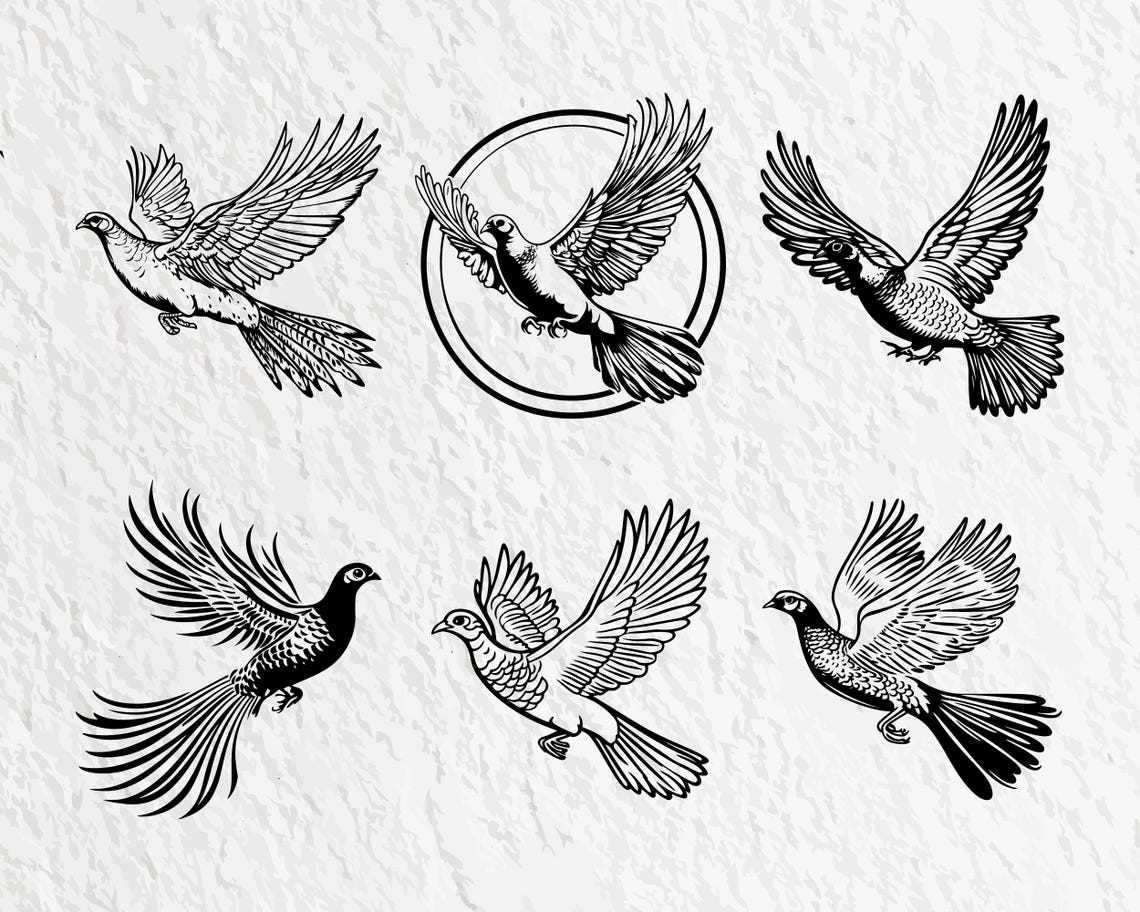 Pheasant SVG Bundle: Silhouette Clipart, Vector Cut Files - Etsy