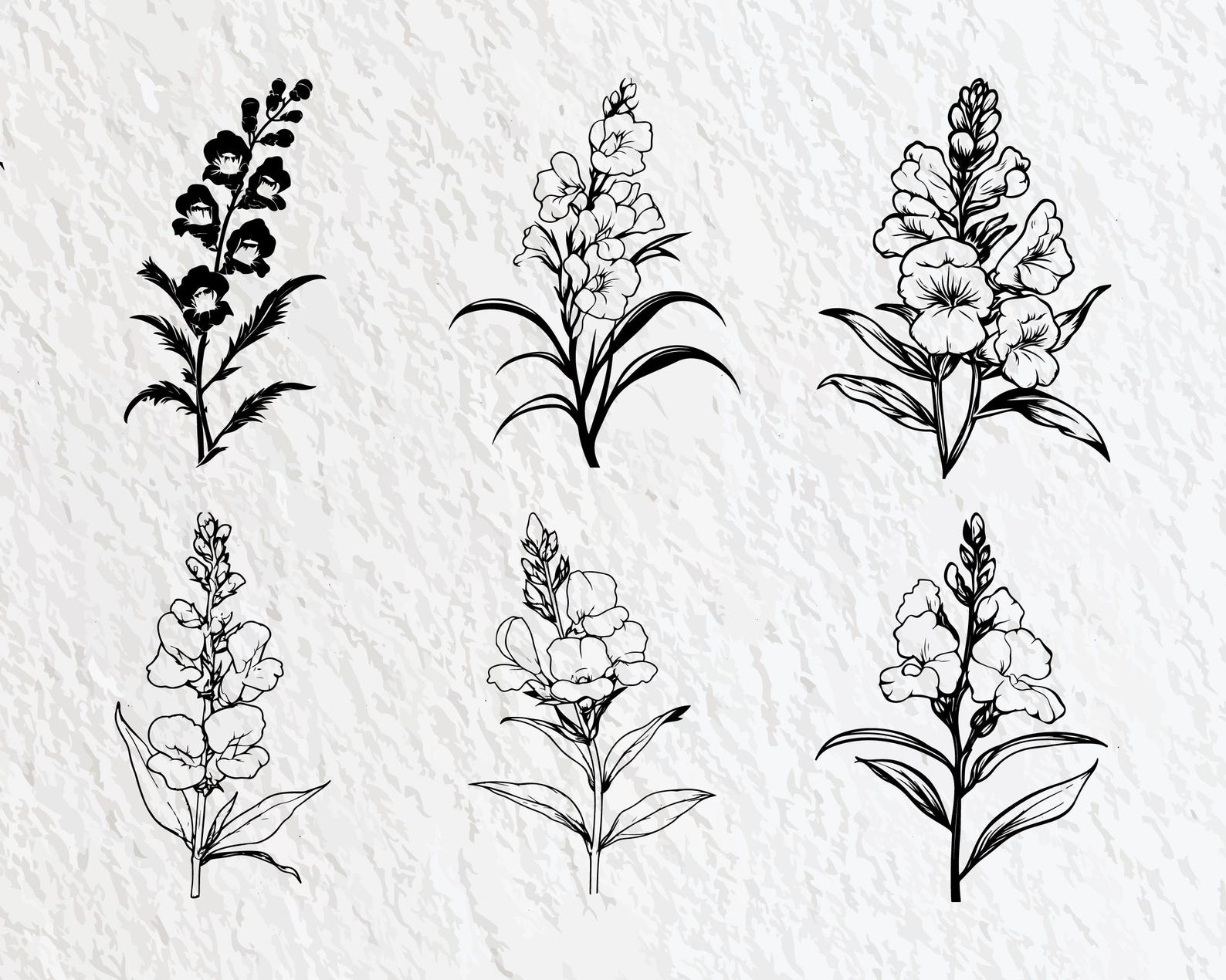 Snapdragon Flower Svg Bundle, Snapdragon Flower Silhouette, Snapdragon ...