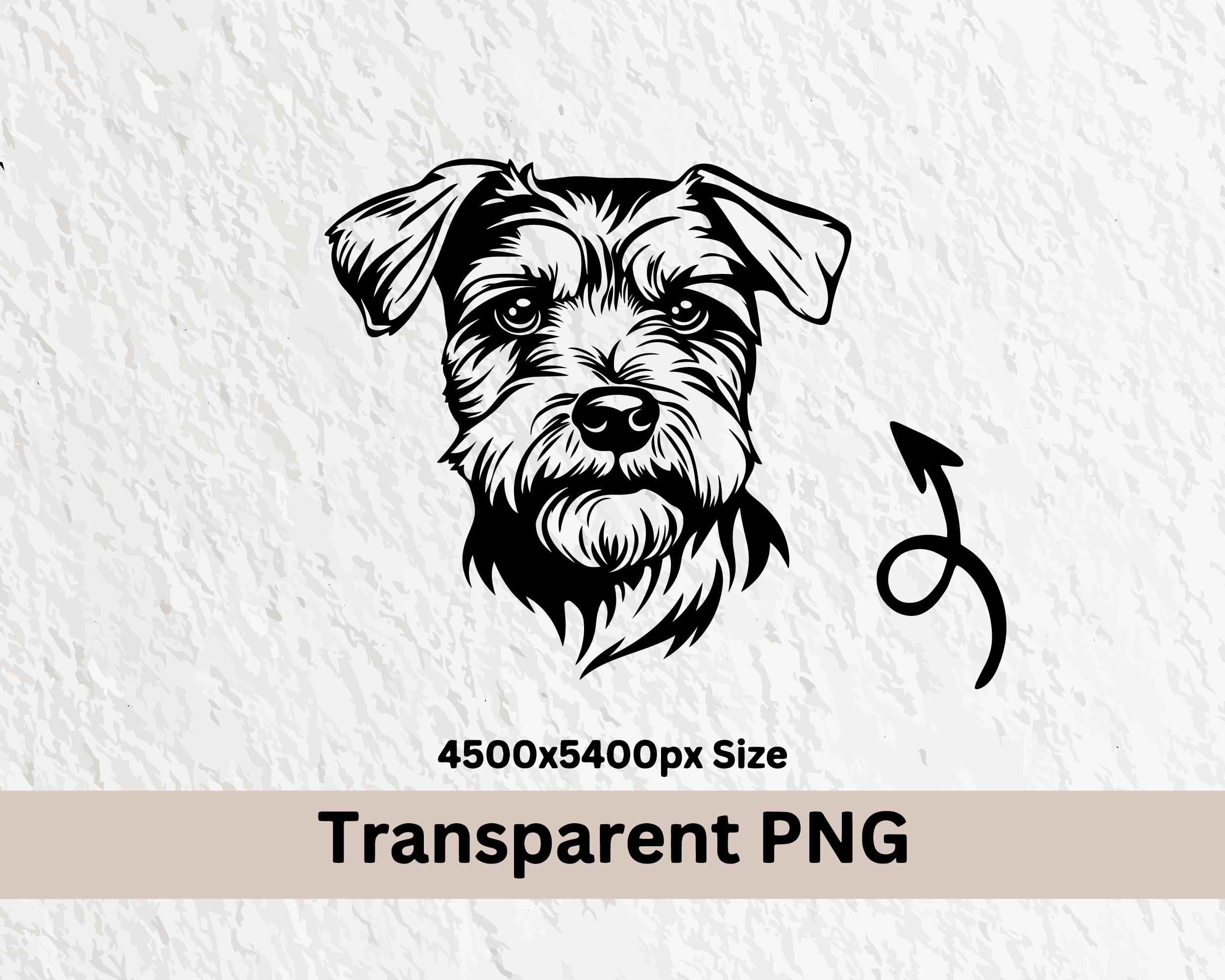 Miniature Schnauzer Svg Bundle, Miniature Schnauzer Silhouette ...