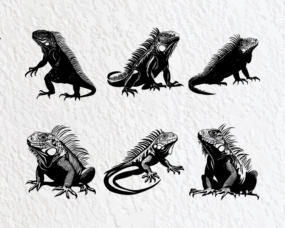 Iguana Svg Bundle, Iguana Silhouette, Iguana Clipart Png, Iguana ...