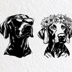 Weimaraner Svg Bundle, Weimaraner Silhouette, Weimaraner Clipart Png ...
