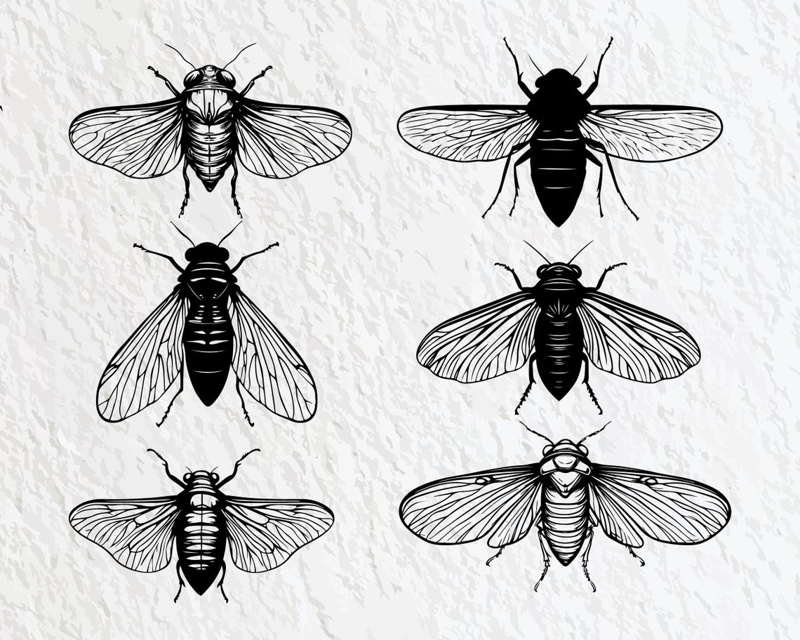 Cicadas Svg Bundle, Cicadas Silhouette, Cicadas Clipart, Cicadas ...