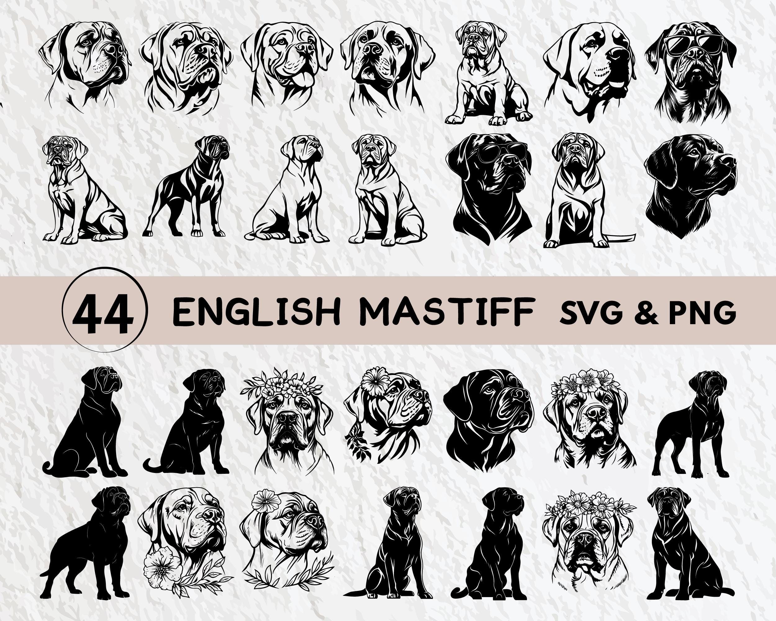 English Mastiff Silhouette Bundle, Cut Files, Clipart and Funny Decal ...