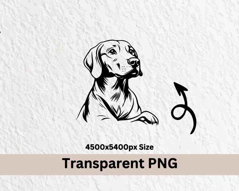 Plott Hound SVG Bundle: Dog Silhouette Clipart (PNG, Vector) - Etsy