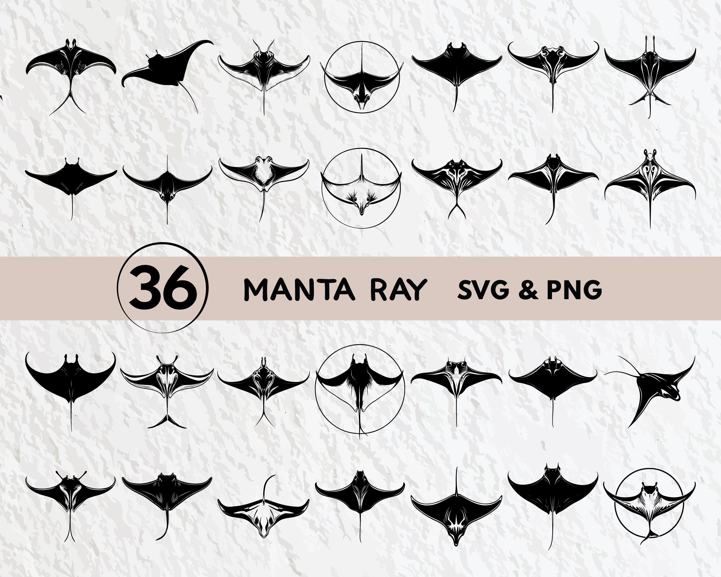 Manta Ray SVG Bundle: Silhouette Clipart, Logo Icon (PNG, Vector) - Etsy