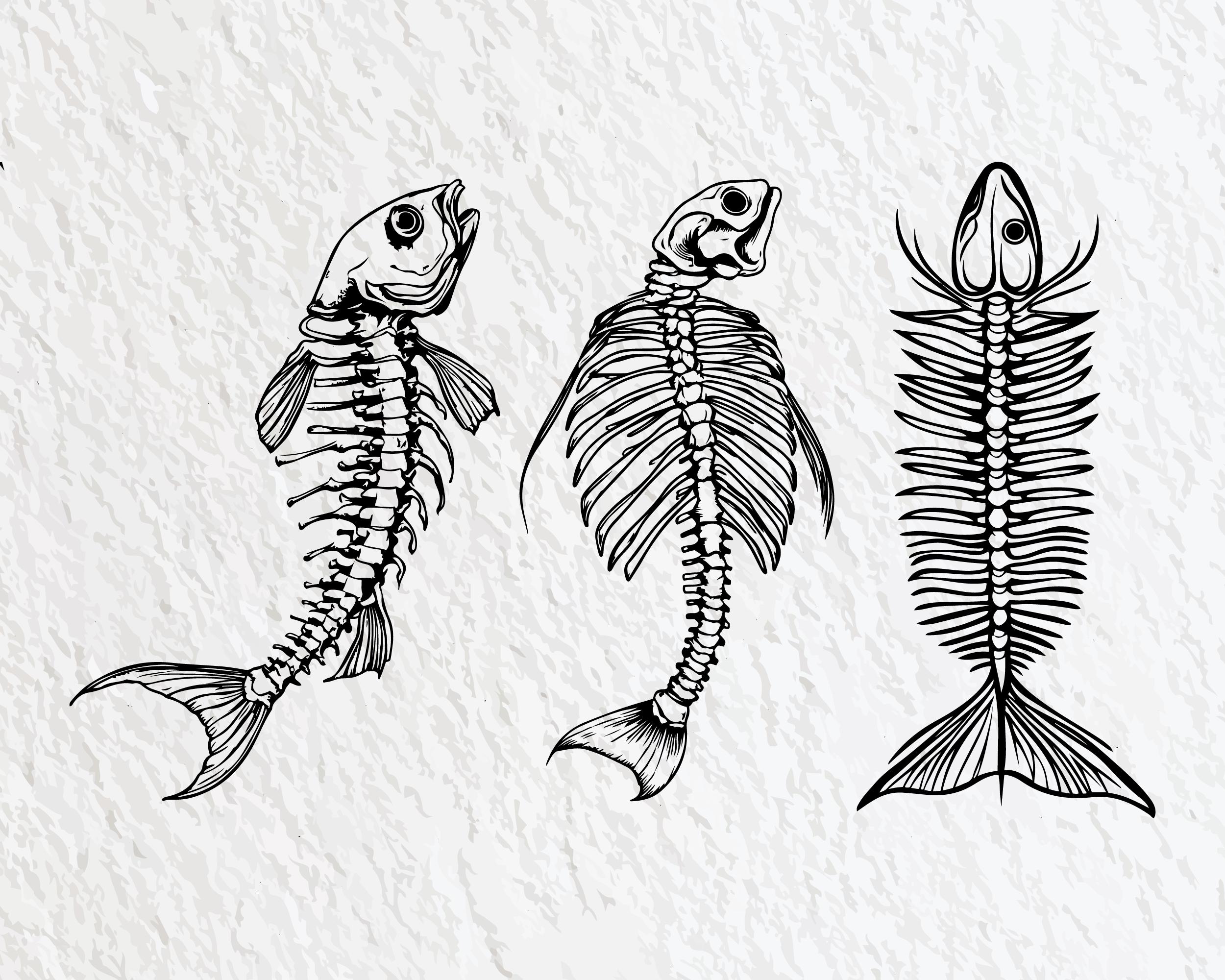 Fishbone SVG Bundle: Silhouette Clipart, Cricut Cut Files (digital ...