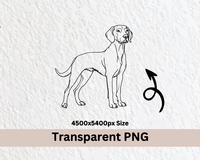 Vizsla Silhouette SVG Bundle: Dog Clipart, Vector Cut Files (PNG) - Etsy