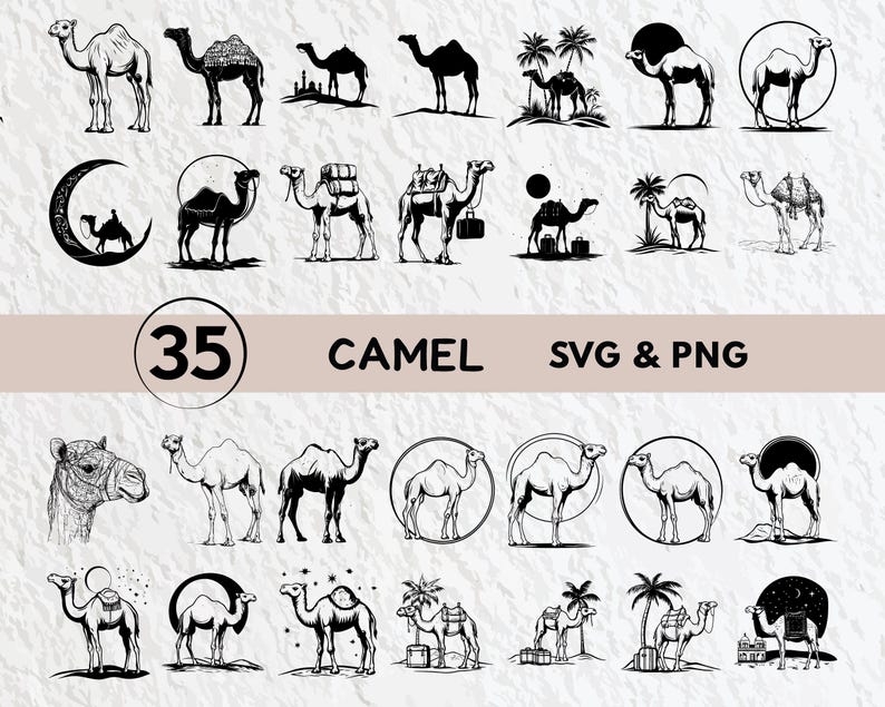 Camel Silhouette SVG Bundle: Logo Icon Decal Cricut Files - Etsy