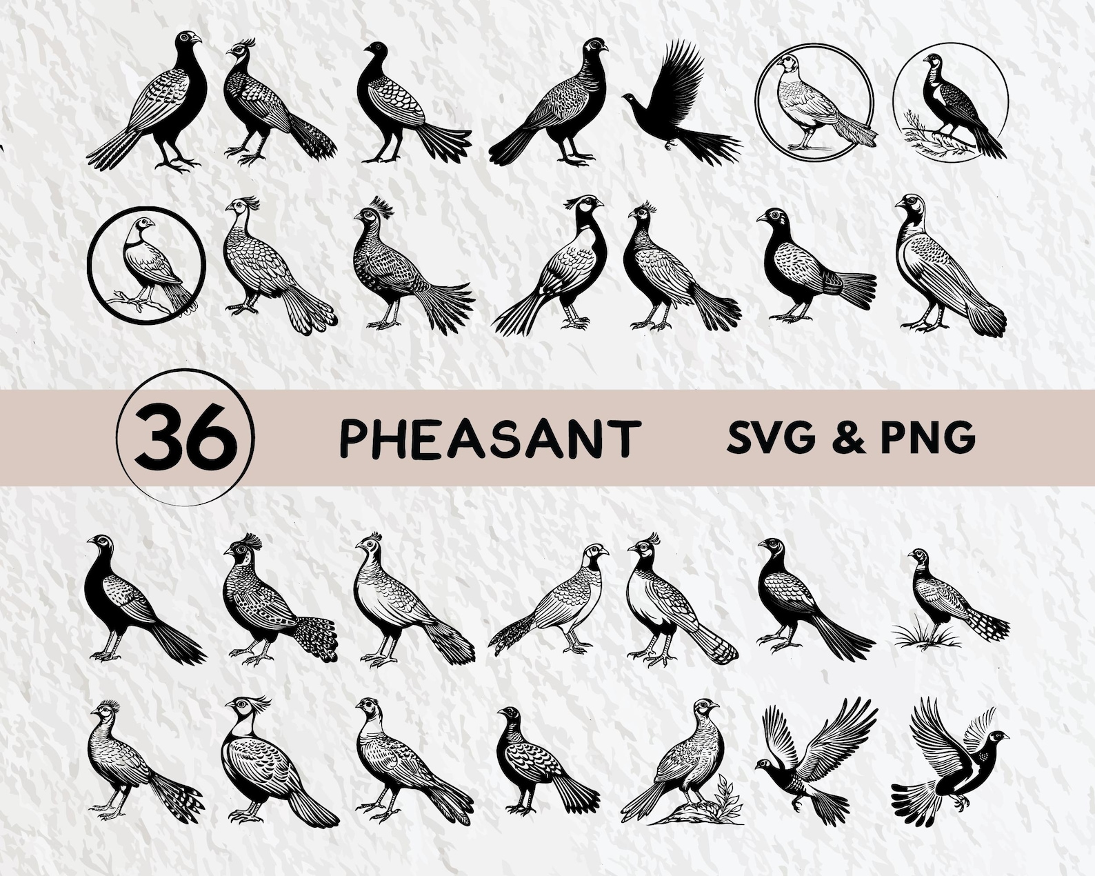 Pheasant SVG Bundle: Silhouette Clipart, Vector Cut Files - Etsy