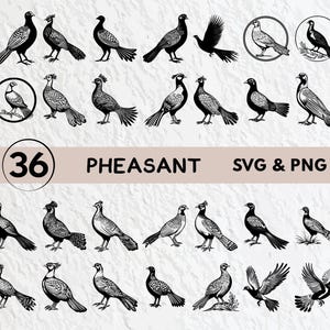 Pheasant SVG Bundle: Silhouette Clipart, Vector Cut Files - Etsy