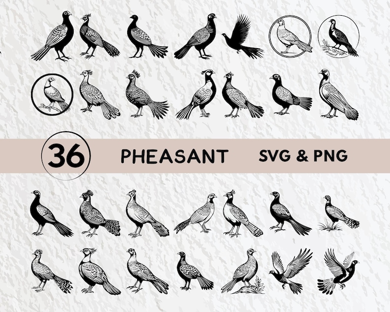 Pheasant SVG Bundle: Silhouette Clipart, Vector Cut Files - Etsy