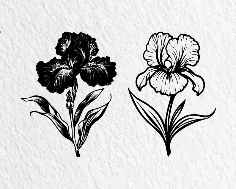 Iris Flower Svg Bundle, Iris Flower Silhouette, Iris Flower Clipart Png ...