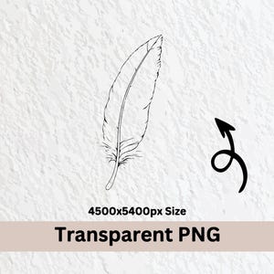 Quill SVG Bundle: Feather Pen Clipart, Logo & Decal (PNG, Cricut Files ...