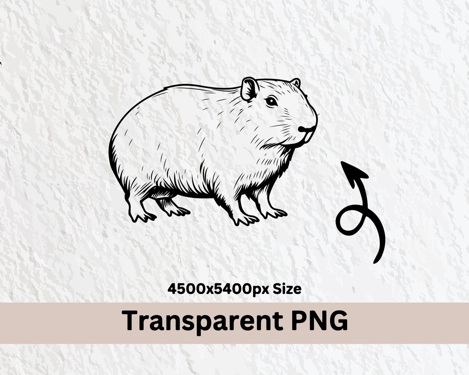 Capybara Svg Bundle, Capybara Silhouette, Capybara Clipart Png ...