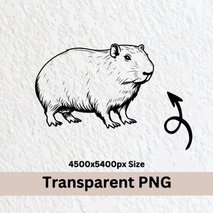 Capybara SVG Bundle: Silhouette Clipart, Logo Icon (PNG, Cricut Files ...