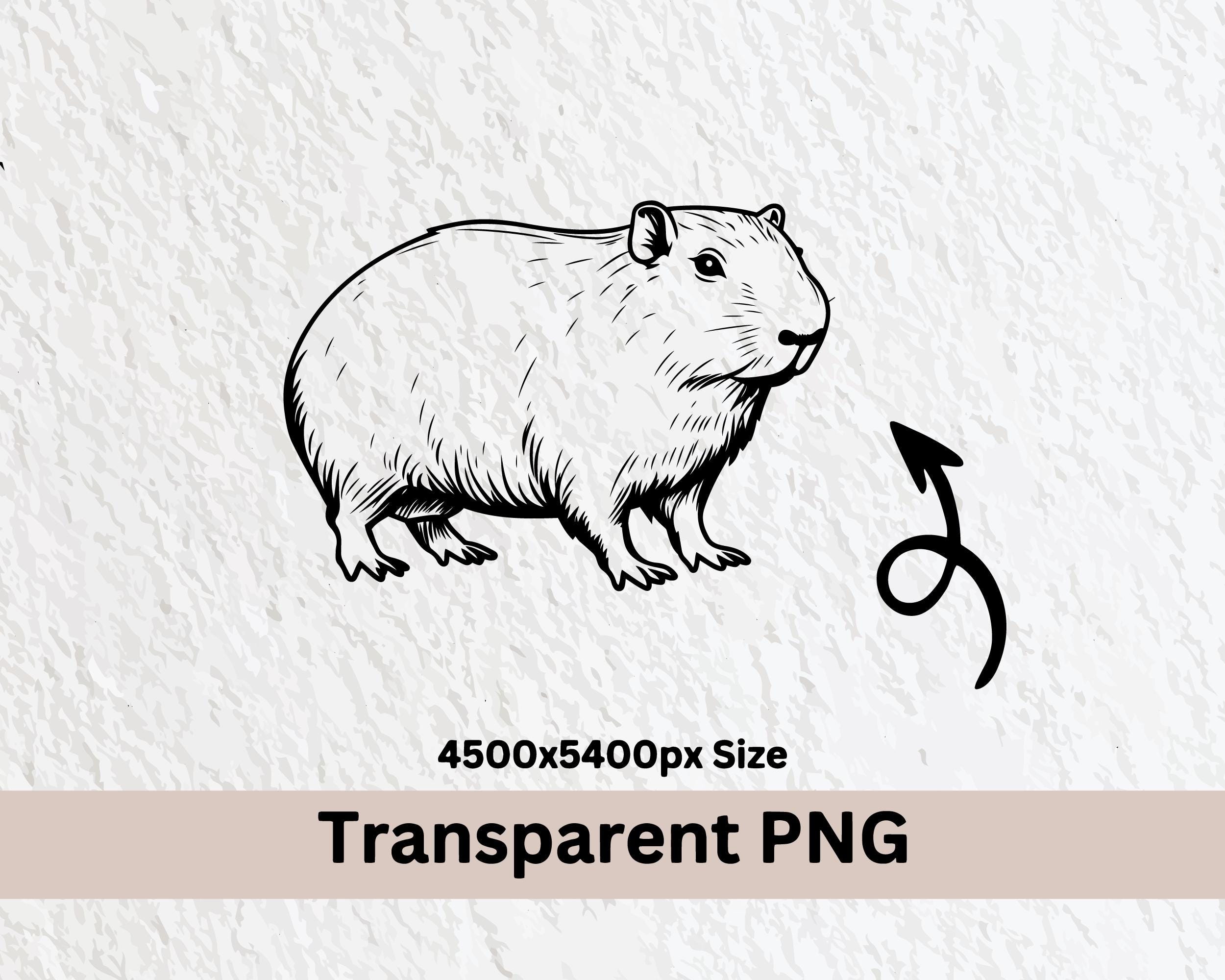 Capybara SVG Bundle: Silhouette Clipart, Logo Icon (PNG, Cricut Files ...