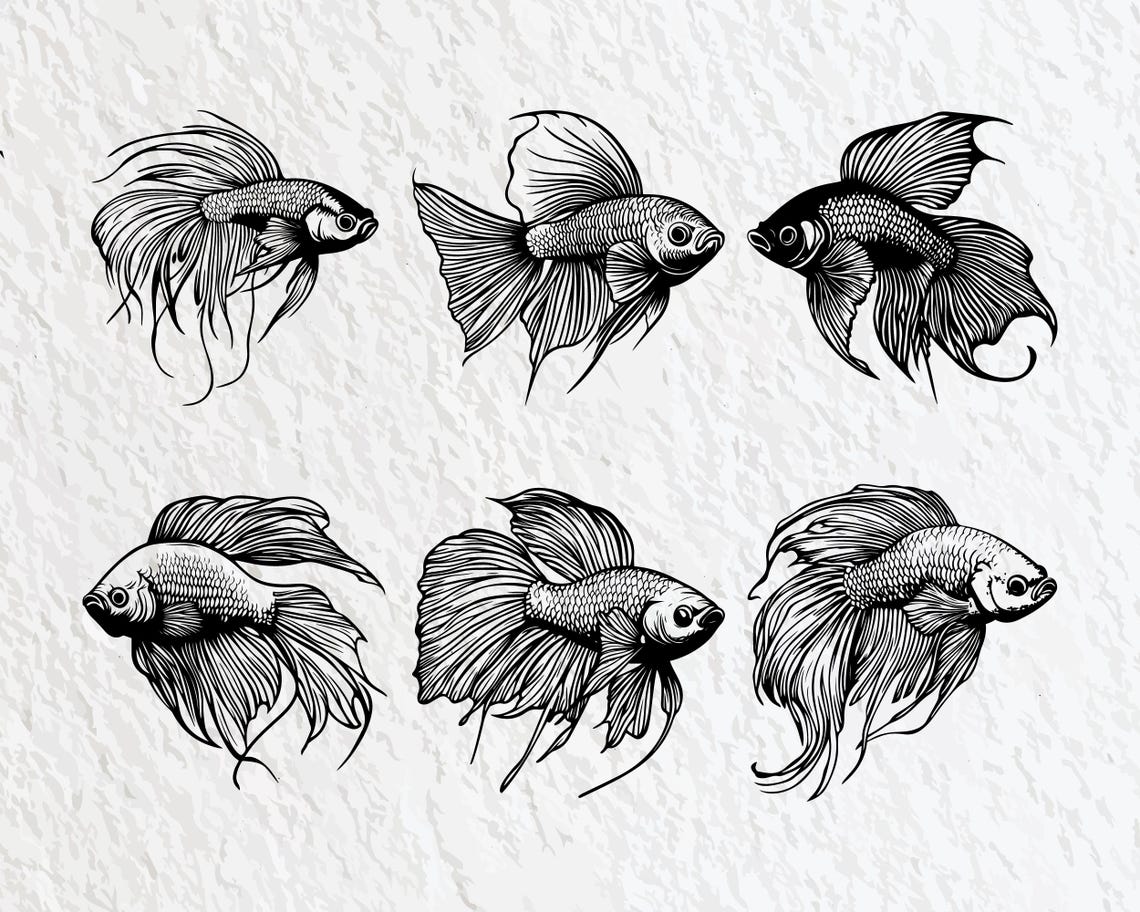 Betta Fish Svg Bundle, Betta Fish Silhouette, Betta Fish Clipart Png ...