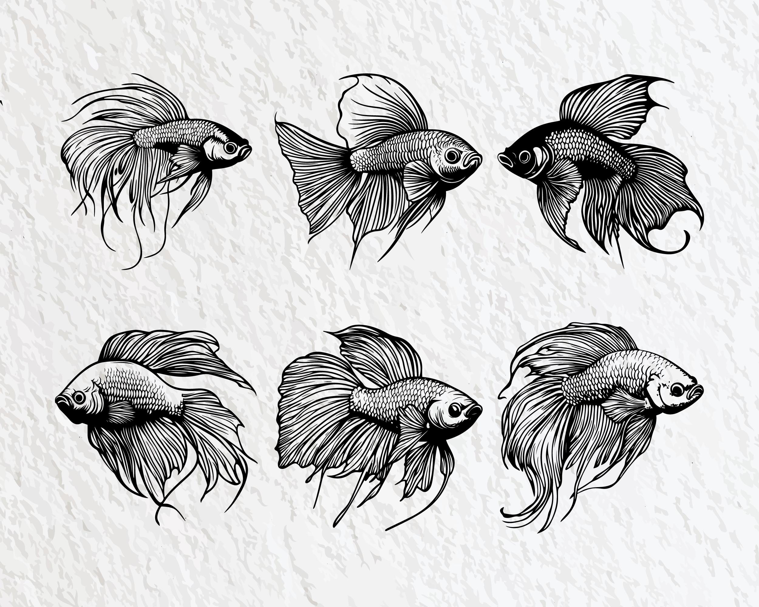 Betta Fish Svg Bundle, Betta Fish Silhouette, Betta Fish Clipart Png ...