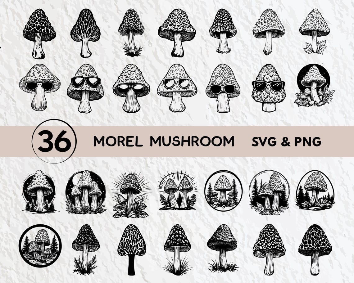 Morel Mushroom Svg Bundle, Morel Mushroom Silhouette, Morel Mushroom ...