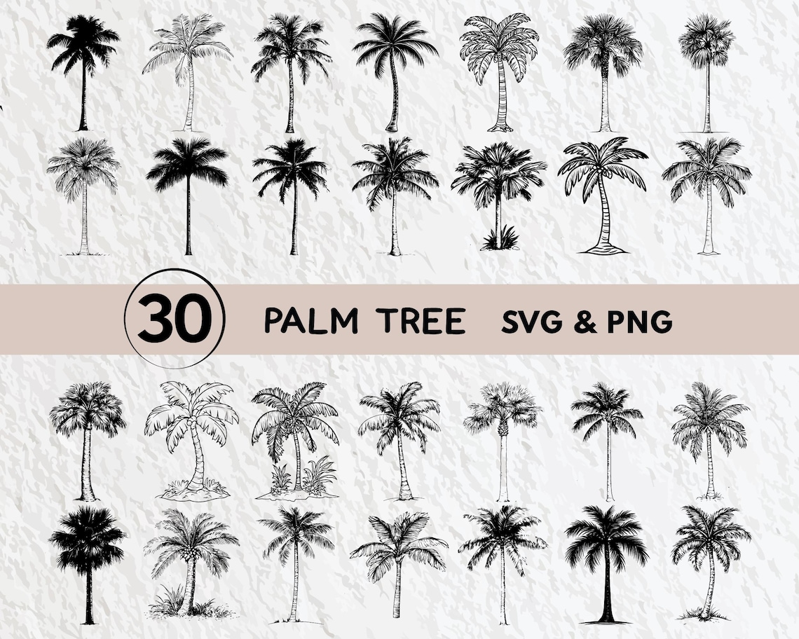 Palm Tree SVG Bundle: Silhouette Clipart, Vector Logo (PNG, Cricut ...