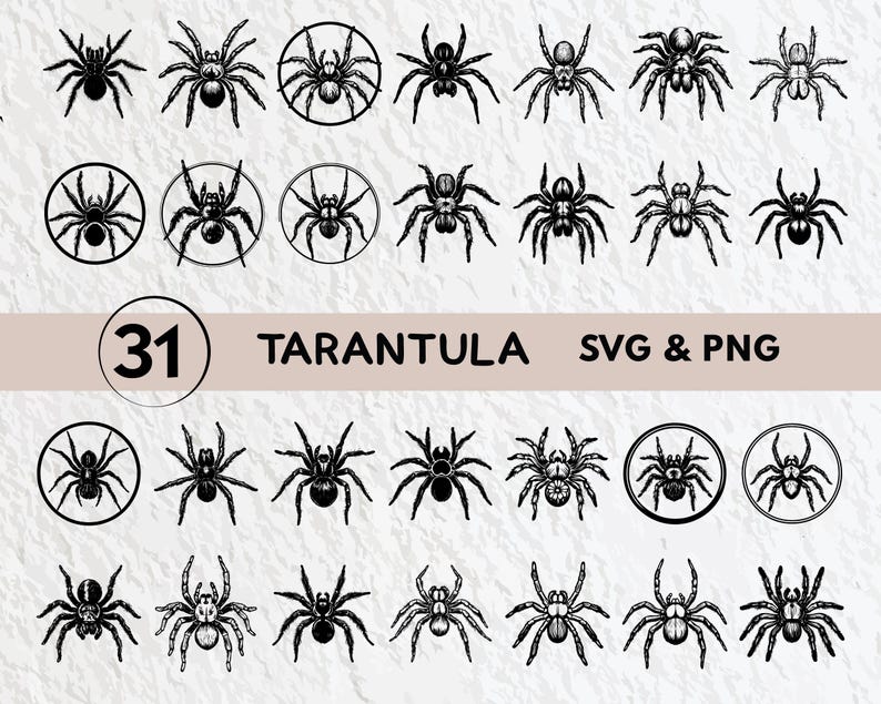 Tarantula Svg Bundle, Tarantula Silhouette, Tarantula Clipart Png ...