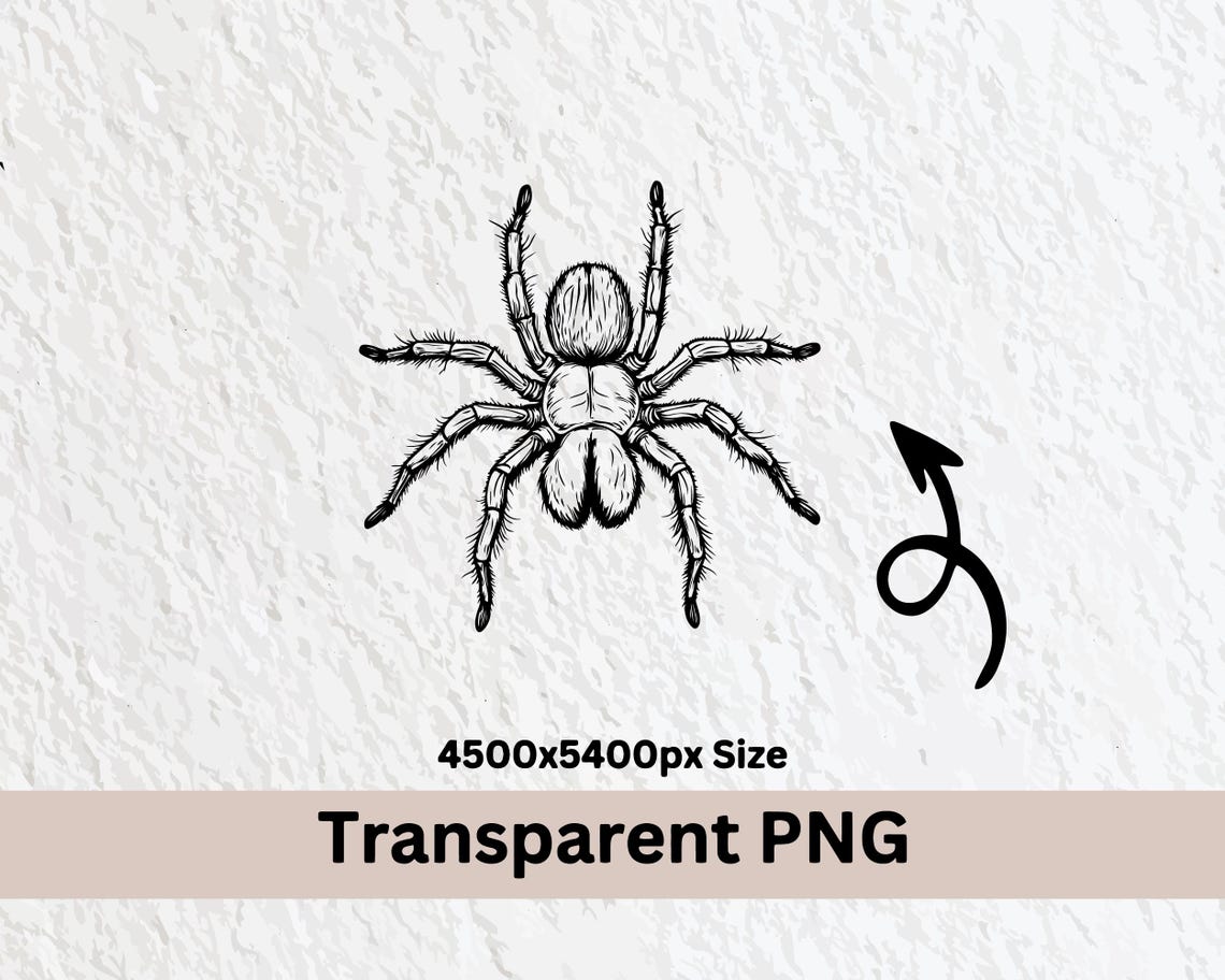 Tarantula Svg Bundle, Tarantula Silhouette, Tarantula Clipart Png ...