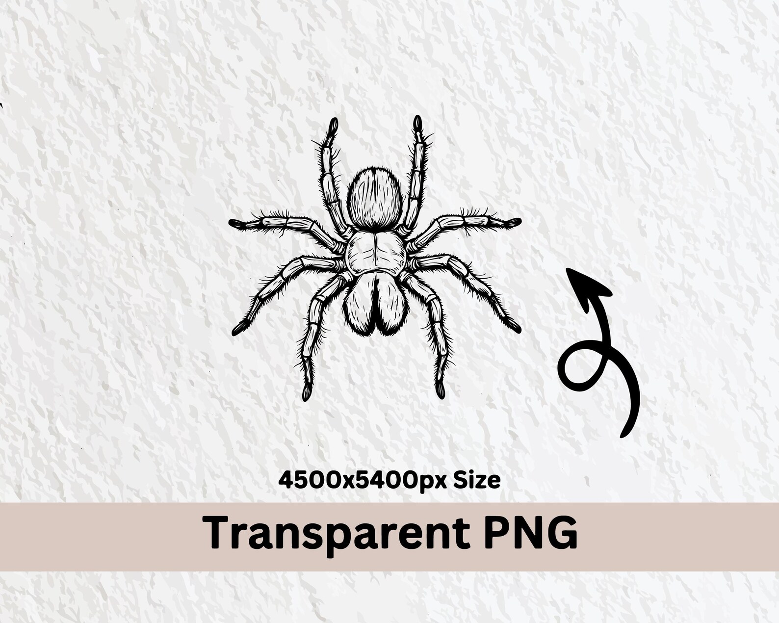 Tarantula Svg Bundle, Tarantula Silhouette, Tarantula Clipart Png ...