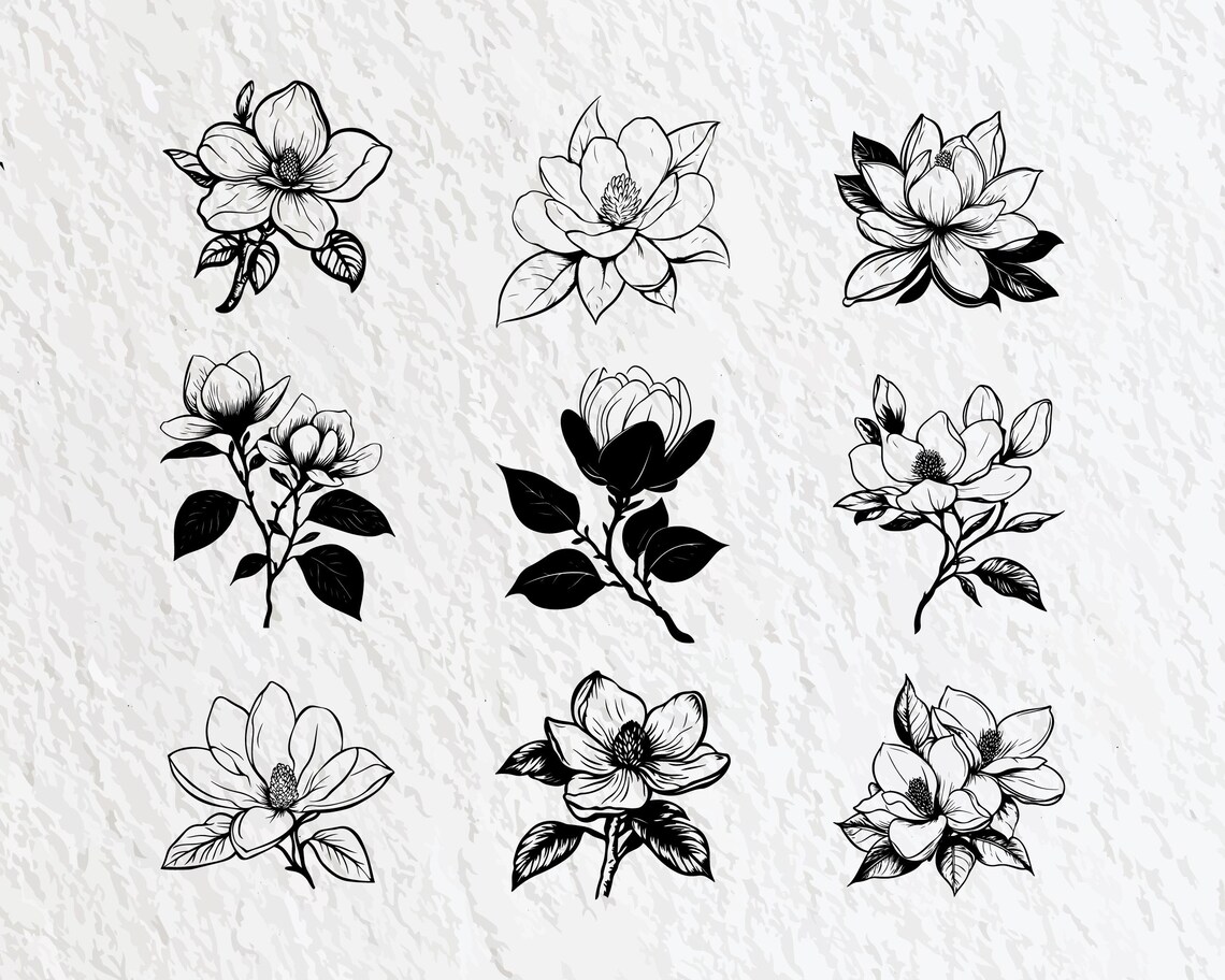 Magnolia Svg Bundle, Magnolia Silhouette, Magnolia Clipart Png ...