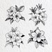 Azalea Flower SVG Bundle: Silhouette, Clipart, Vector (digital Download ...