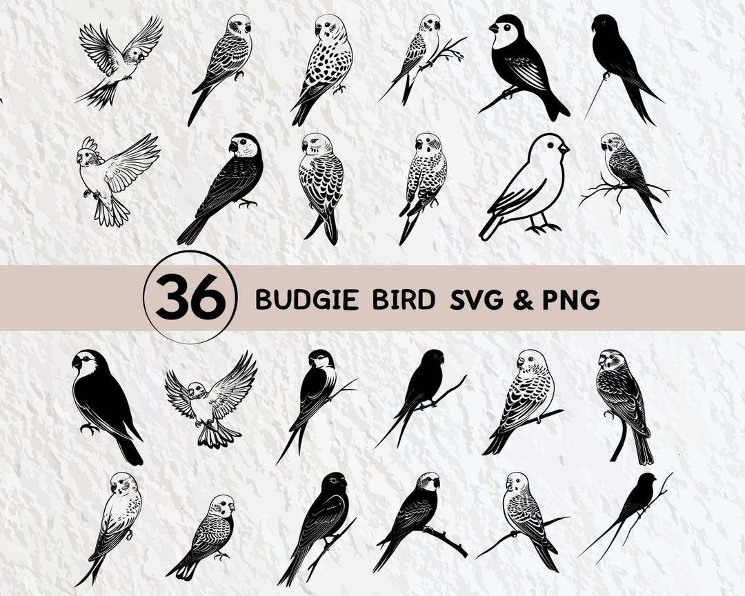 Budgie Bird Svg Bundle, Budgie Bird Silhouette, Budgie Bird Clipart Png ...