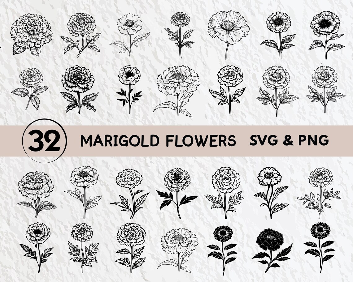 Marigold Flowers SVG Bundle: Floral Clipart, Vector Logo (digital ...