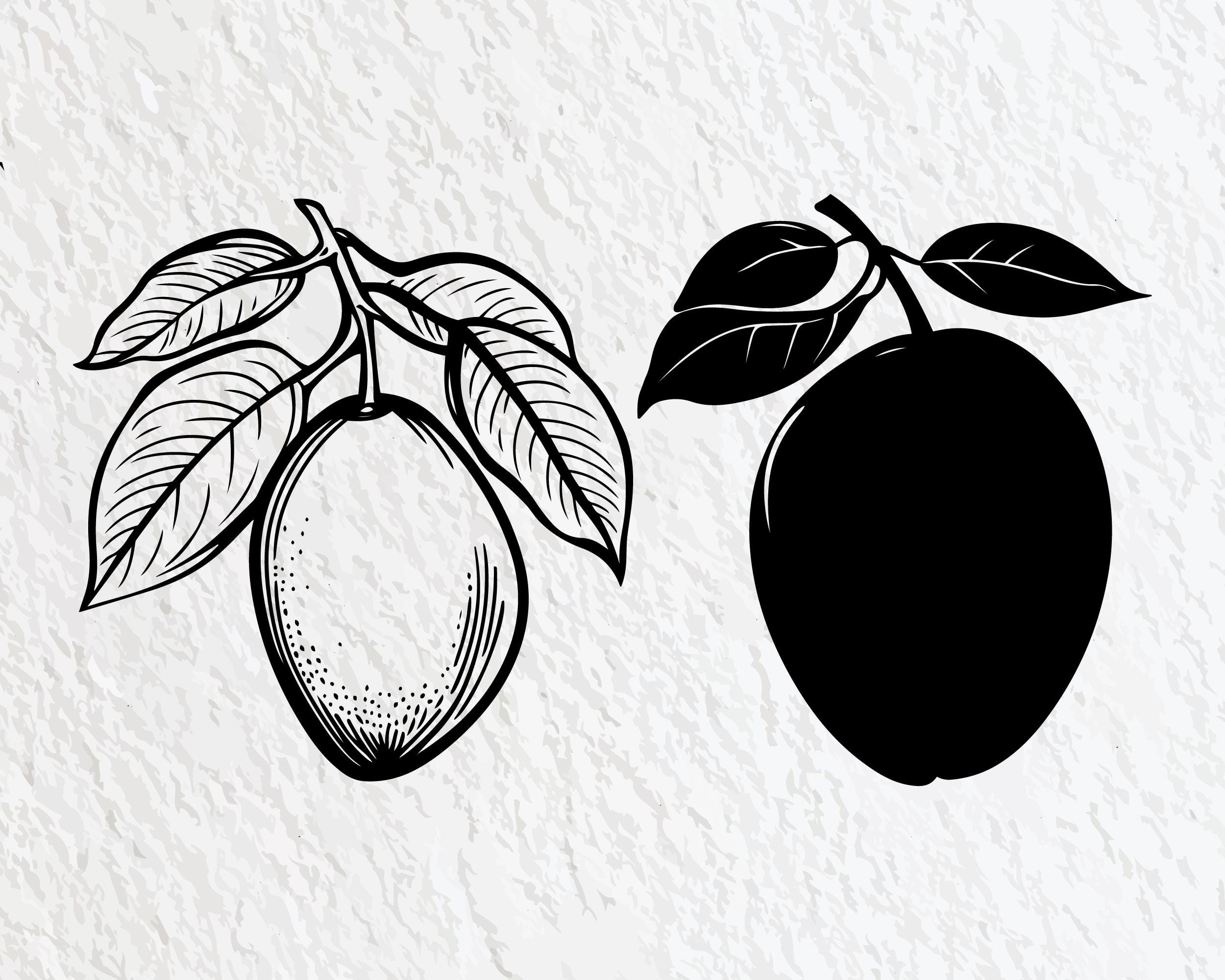 Mango Svg Bundle, Mango Silhouette, Mango Clipart Png, Mango Outline ...