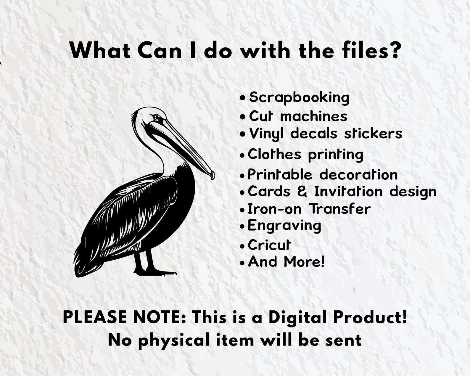 Pelican Svg Bundle, Pelican Silhouette, Pelican Clipart Png, Pelican ...