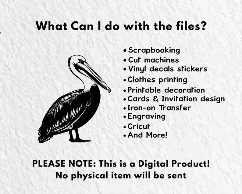 Pelican SVG Bundle: Silhouette Clipart, Vector Decal (PNG, Cricut Files ...