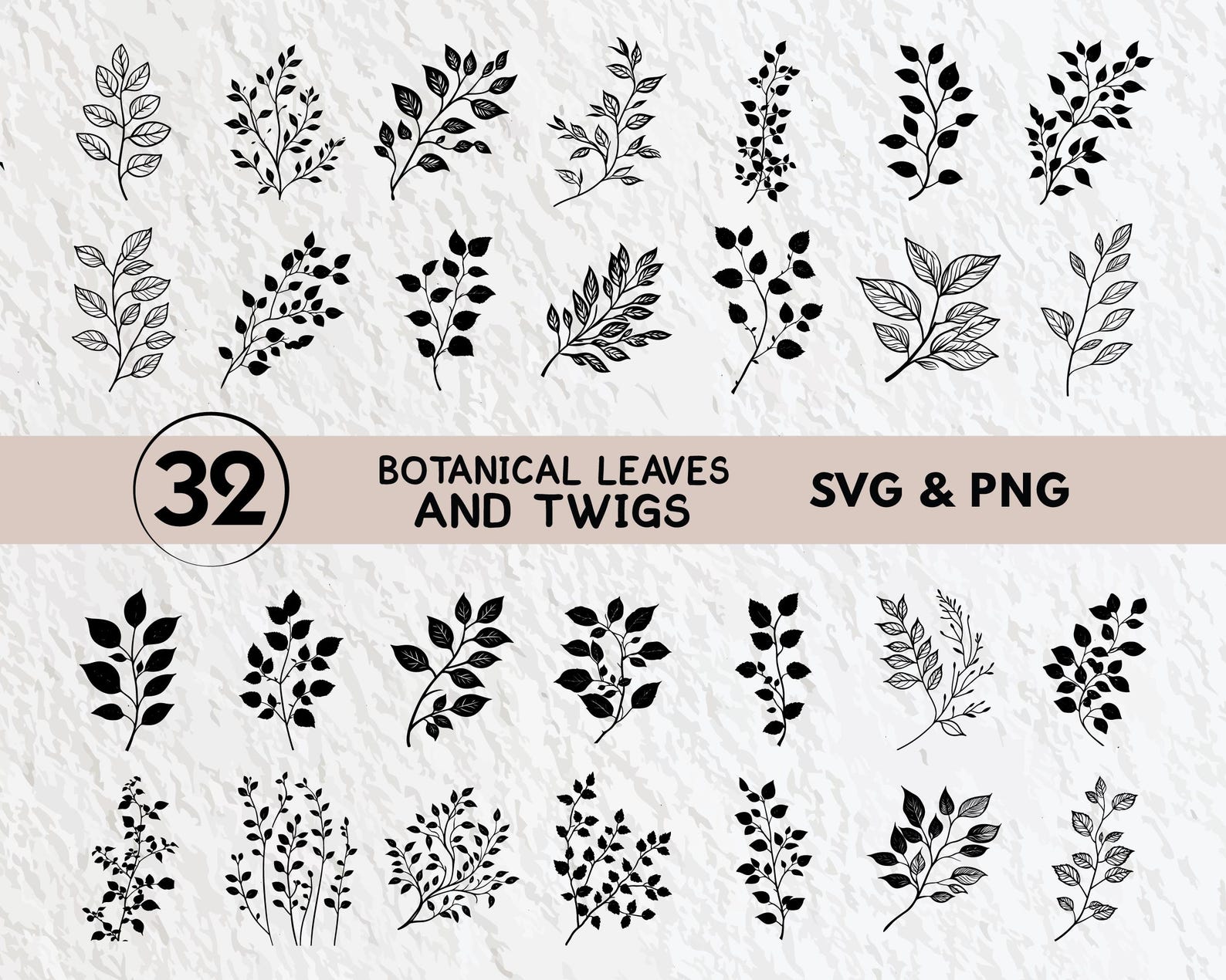 Botanical Leaves & Twigs SVG Bundle: Vector Cut Files (PNG, SVG) - Etsy