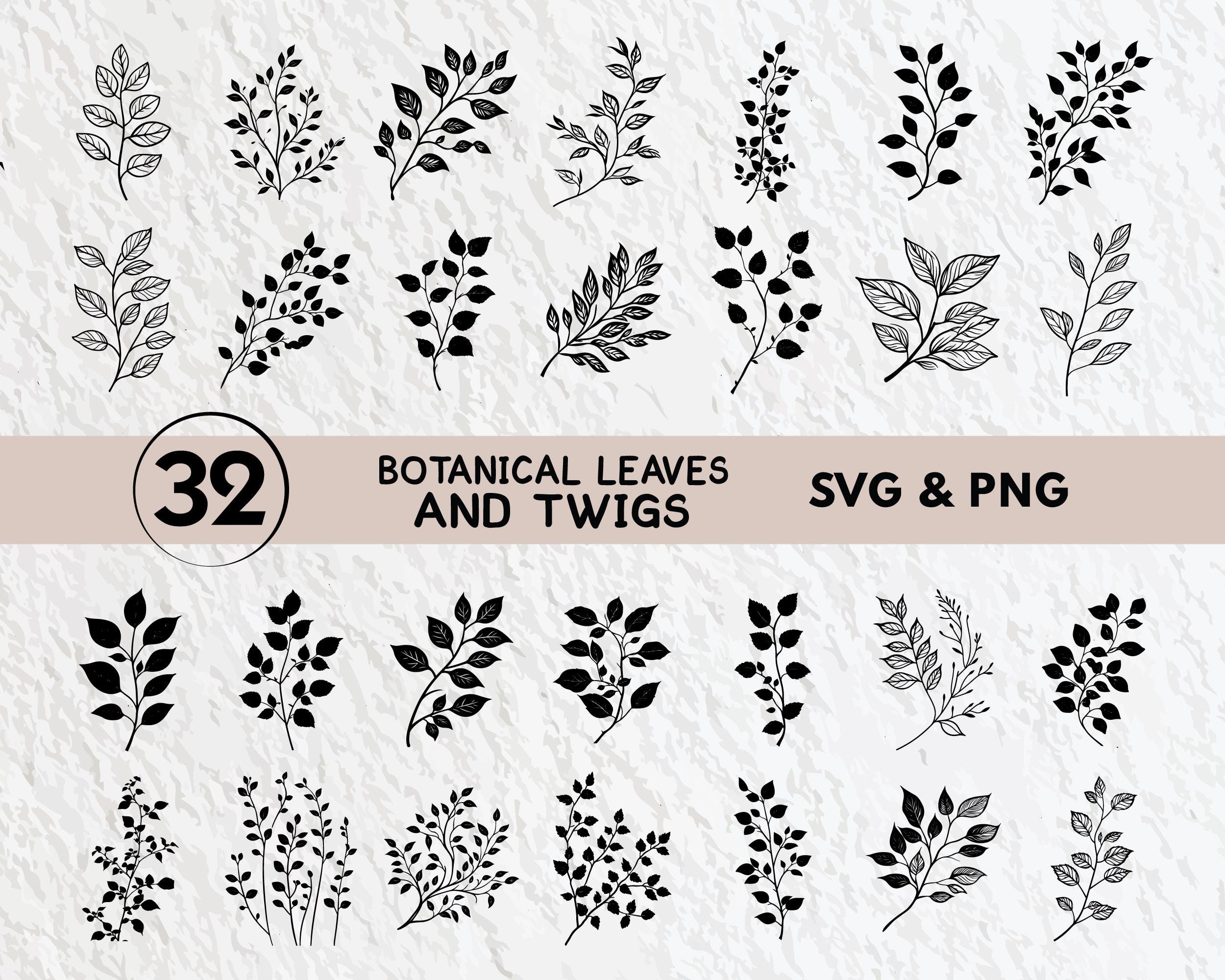 Botanical Leaves & Twigs SVG Bundle: Vector Cut Files (PNG, SVG) - Etsy